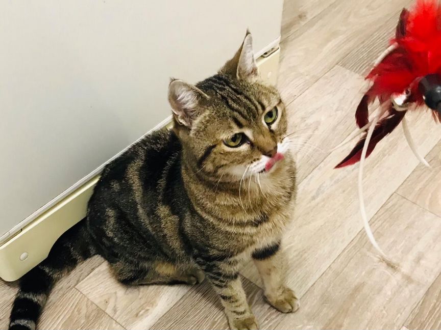 Мусечке 13 лет. И она оказалась на улице