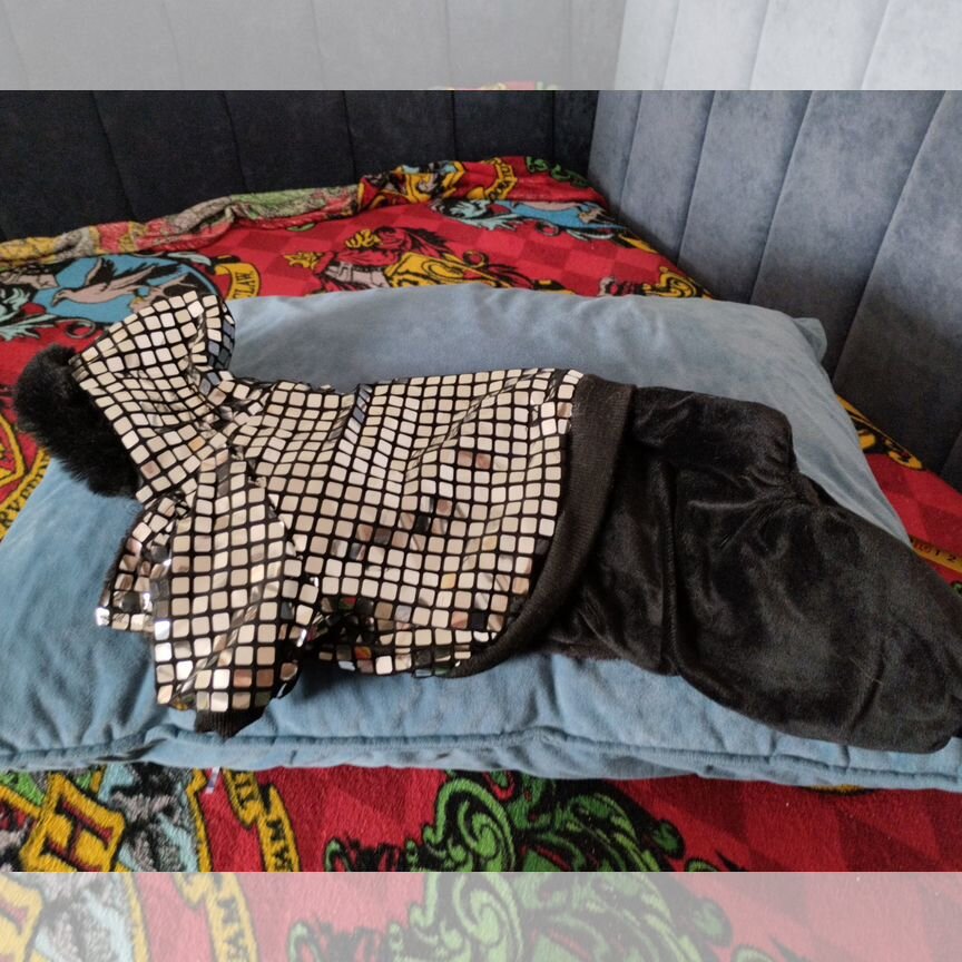 Зимний комбинезон для собаки