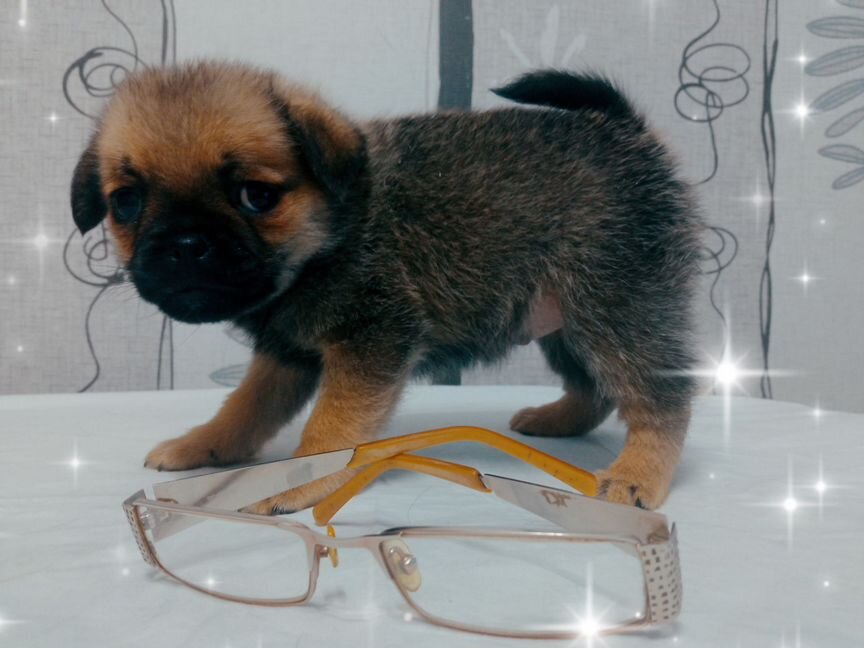 Девочка крошечная