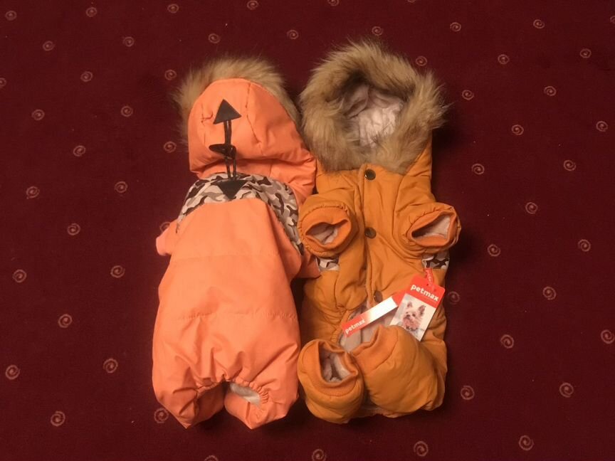 Одежда для собак