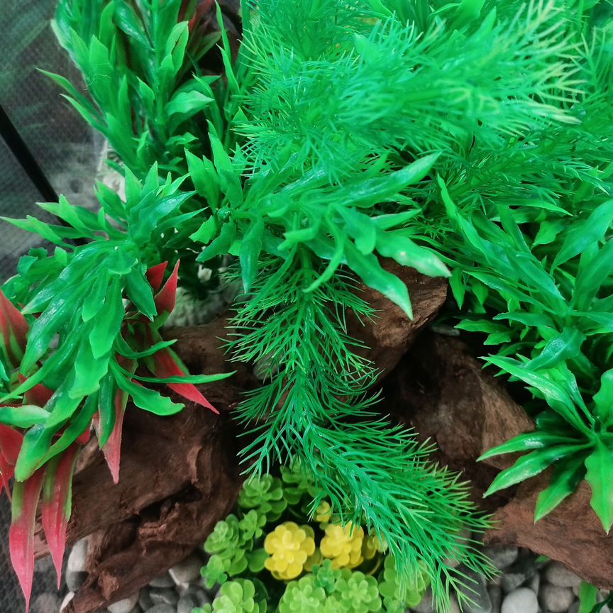 Запуск, декорация и обслуживание аквариумов