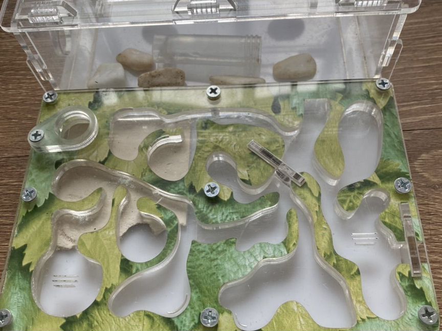 Формикарий для муравьев