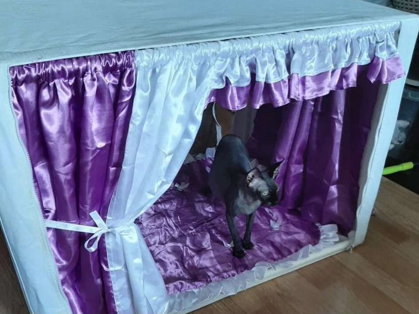 Палатка для выставки животных