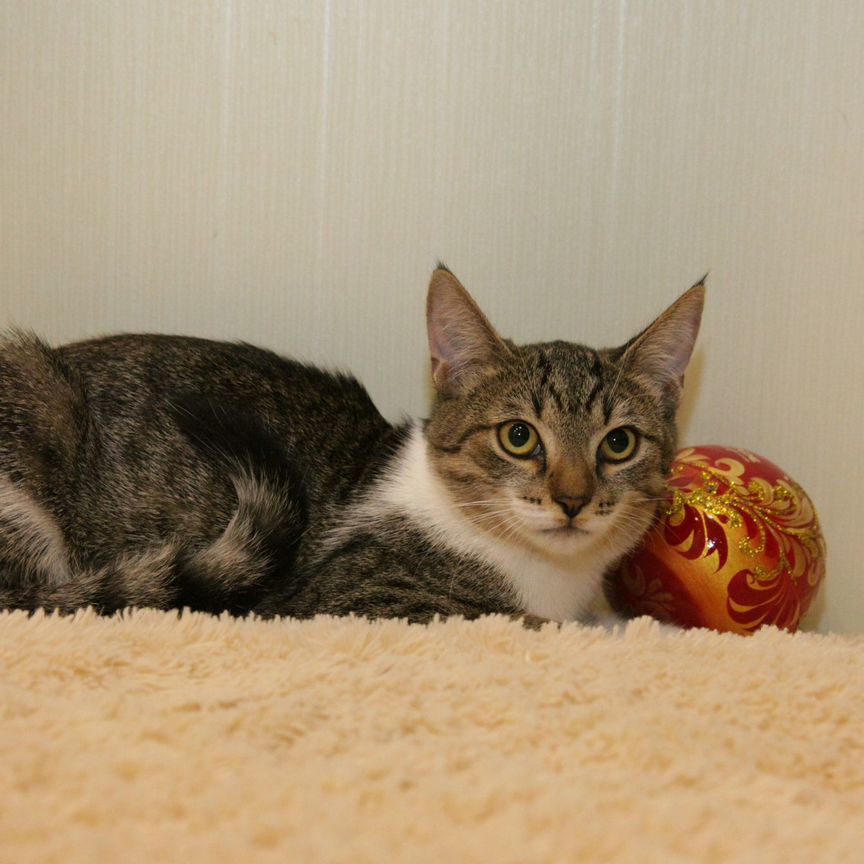 Маша ласкуша ей 8 месяцев