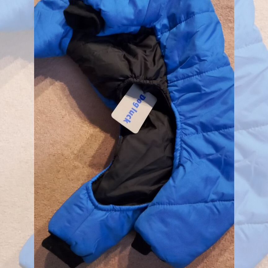 Одежда для собак