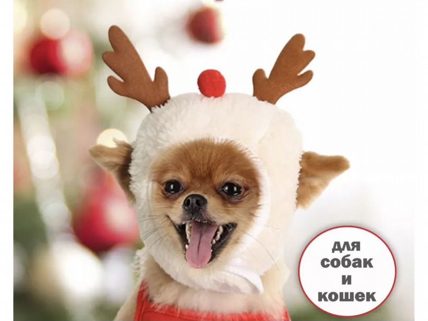 Шапочка для питомца