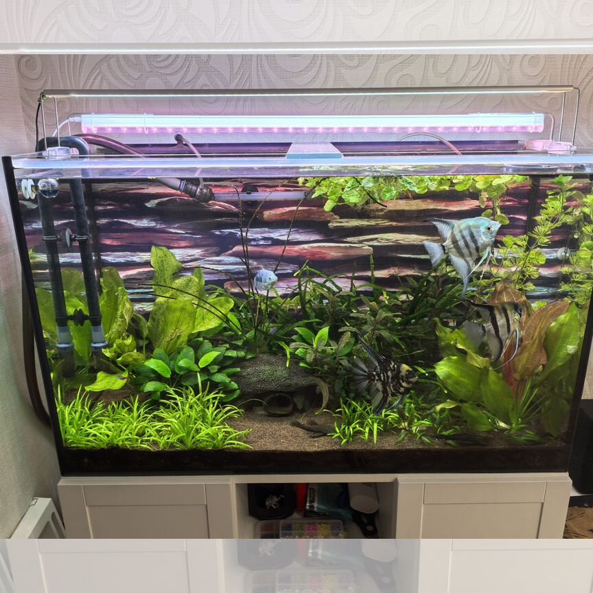 Аквариум с тумбой