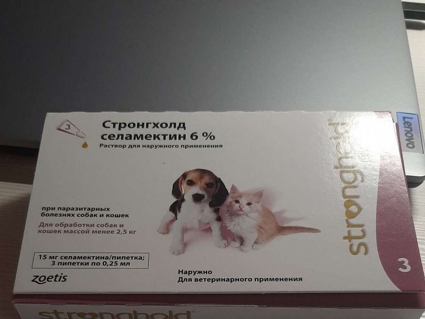 Стонгхолд для котят и щенков