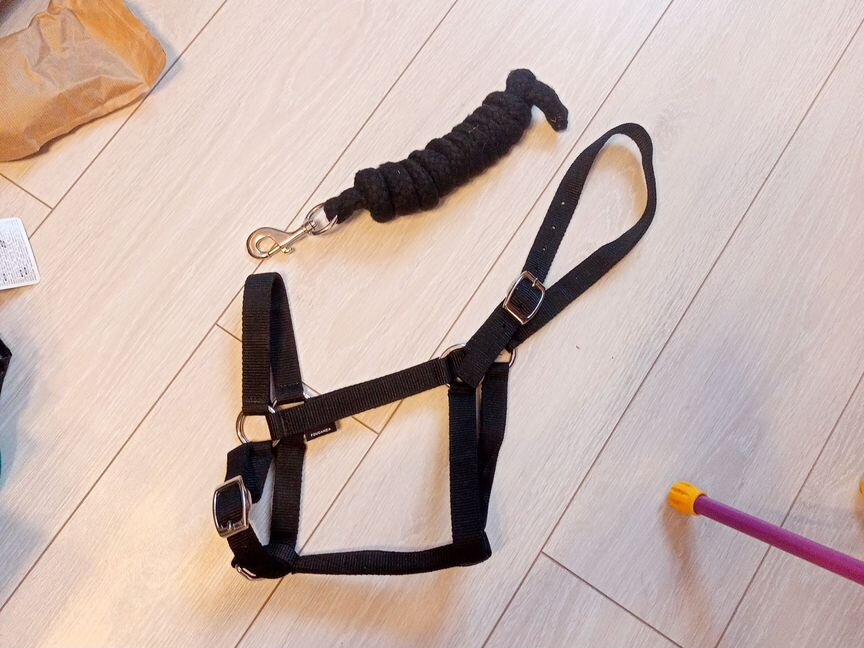 Недоуздок для лошади