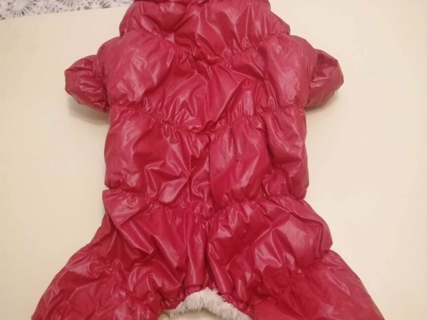 Одежда для маленьких собак бу