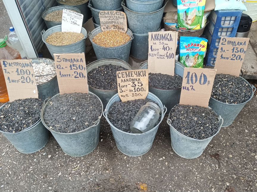 Семечки подсолнечника для птиц