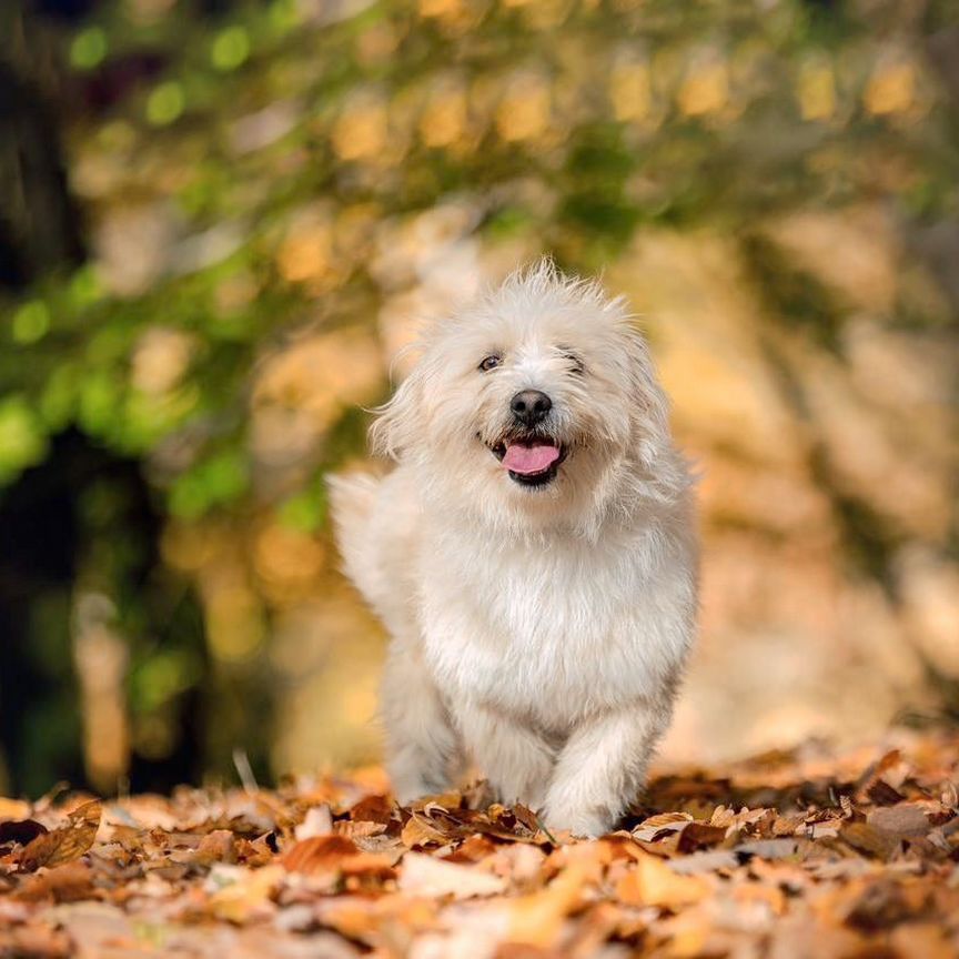Малыш в добрые и ответственные руки