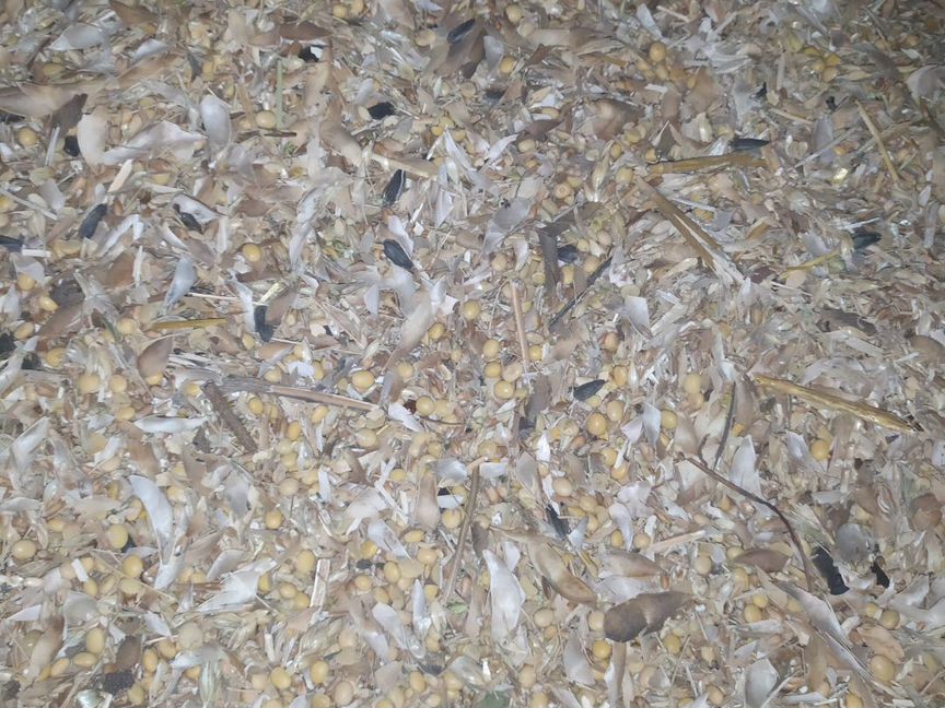 Отходы сои 4 тонны