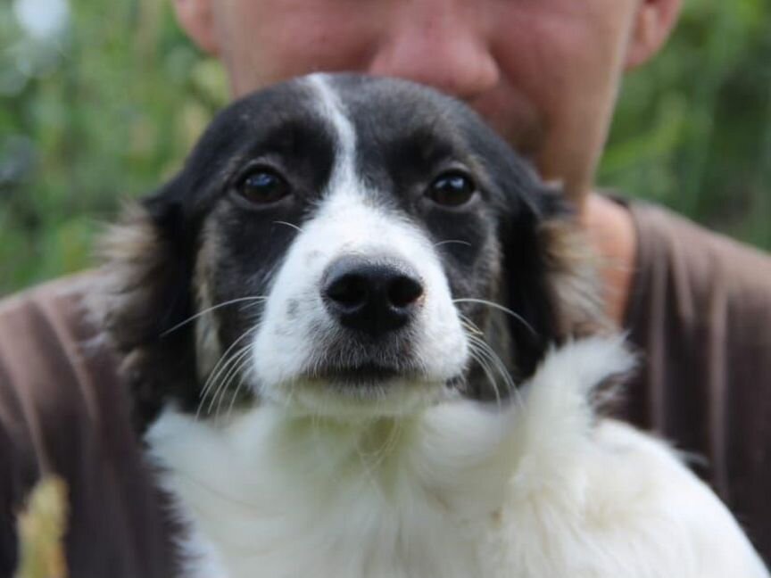 Очаровательная жаклин ищет дом