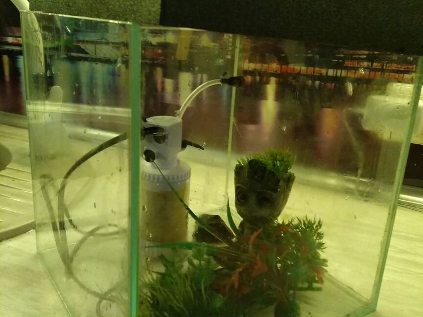 Аквариум кубик