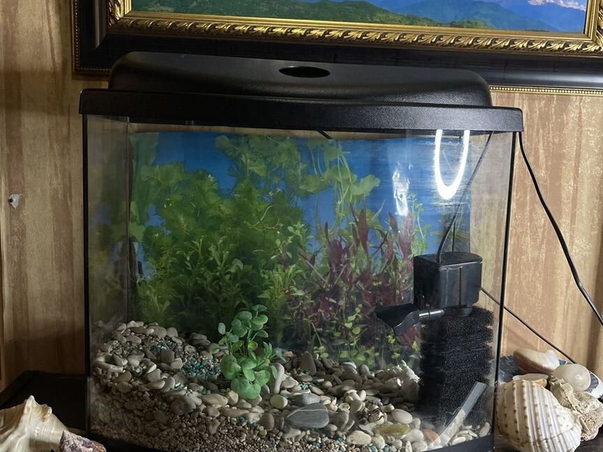 Аквариум 25-28 литров