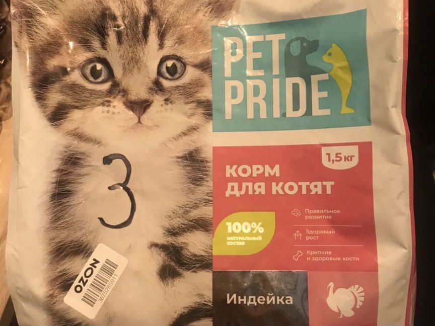 Корм для котят