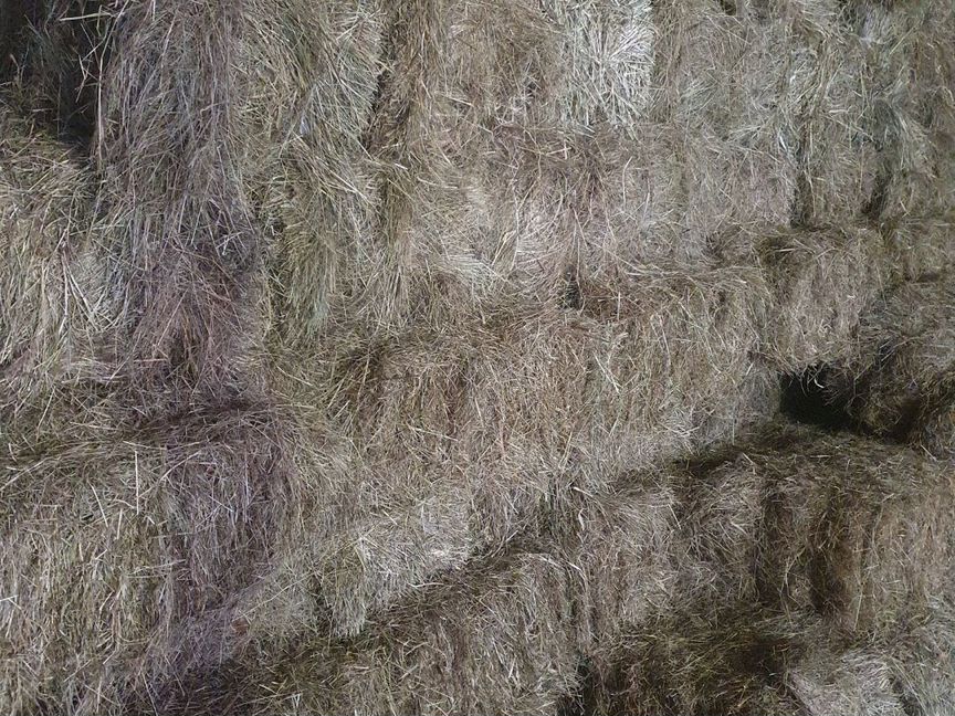 Сено в тюках