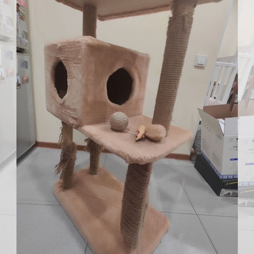 Когтеточка с домиком бу