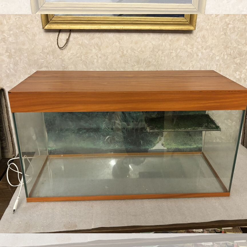 Аквариум для красноухой черепахи 100 литров