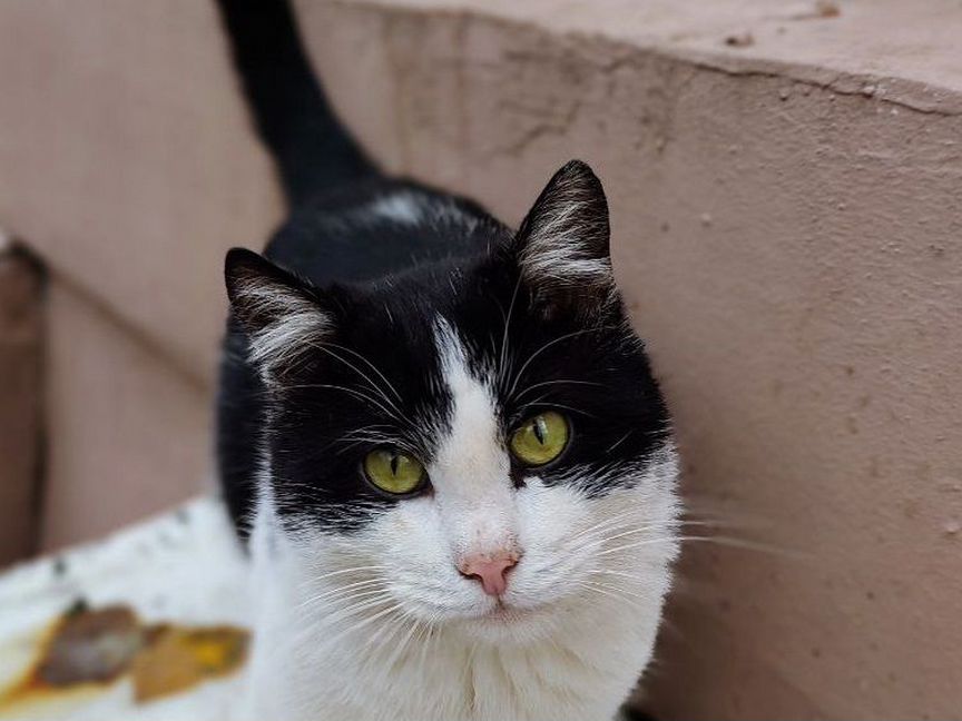 Неужели я никому не нужен