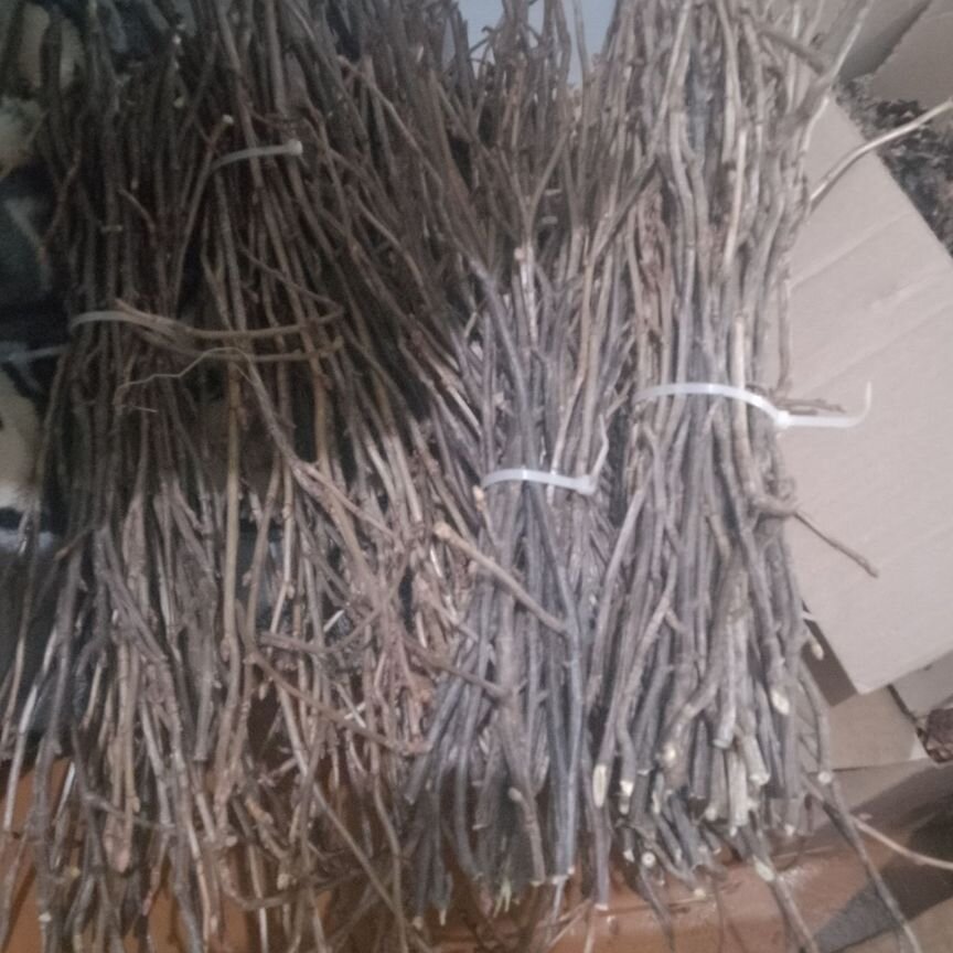 Корм для животных