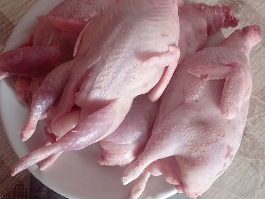 Продам мясо перепелов