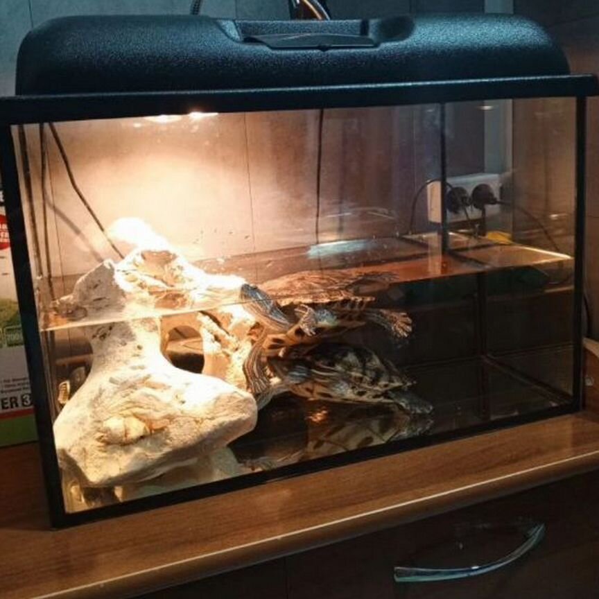 Аквариум