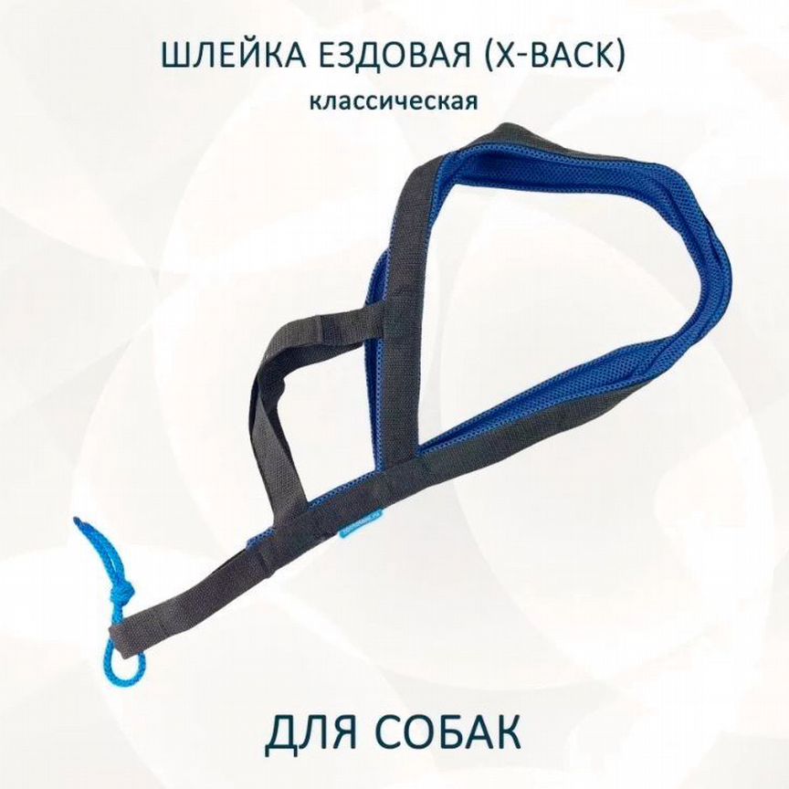 Шлейка ездовая