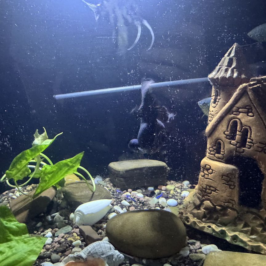 Аквариум на 140 литров