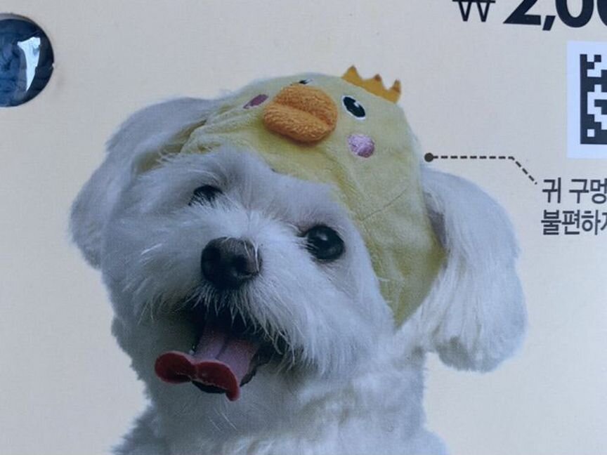 Кепка для собачки