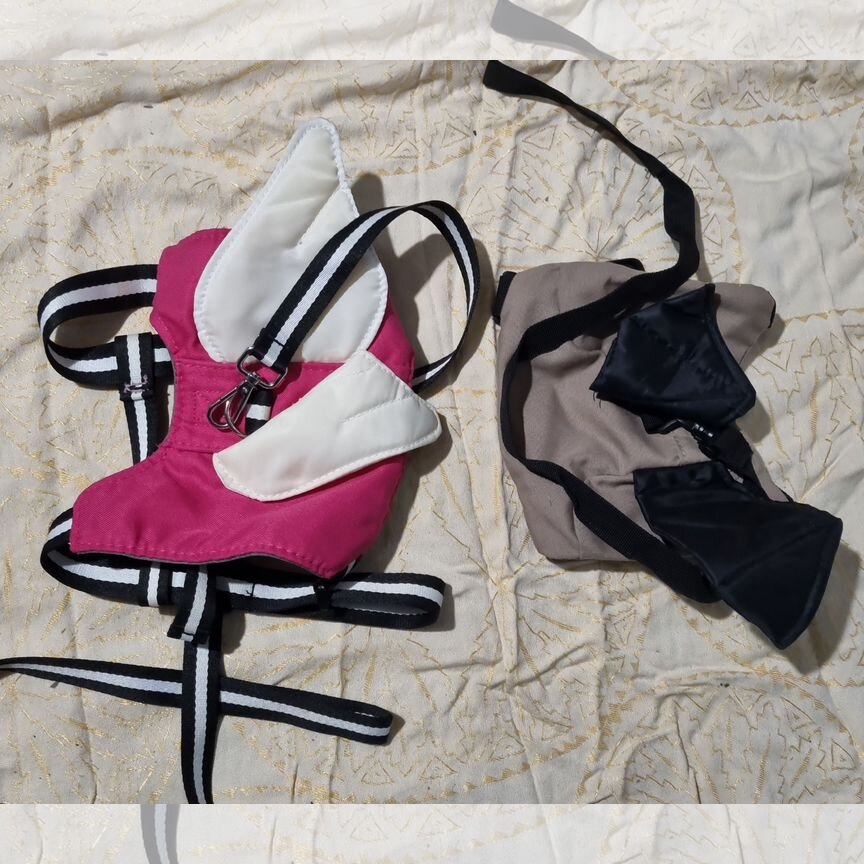 Одежда для собак