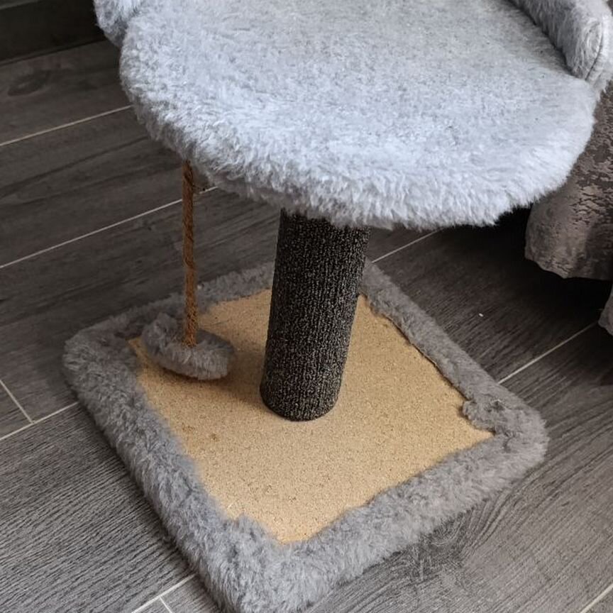 Когтеточка для котенка
