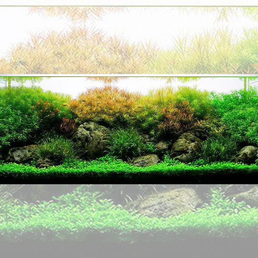 Создание аквариума с дизайном под заказ