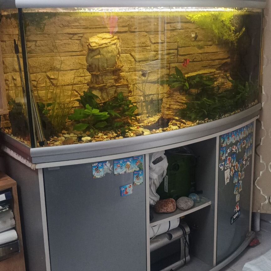 Аквариум с рыбками и всем содержимым