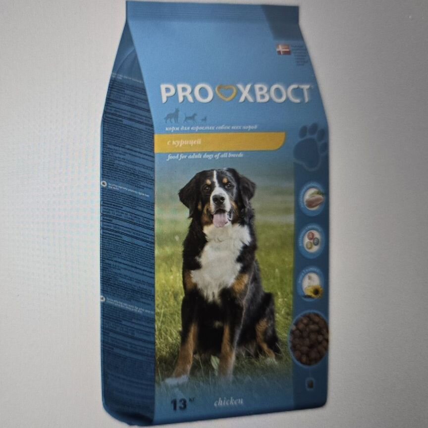 Сухой корм для собак