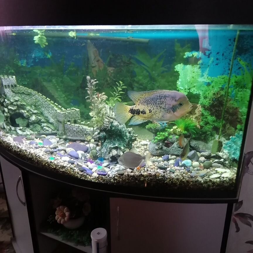 Аквариум с тумбой 360л