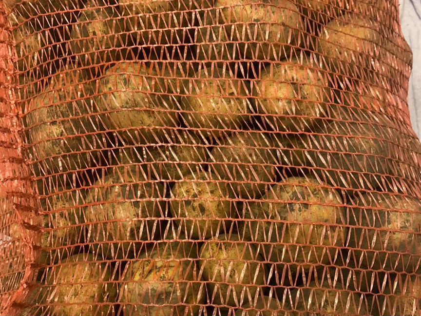 Картофель кормовой