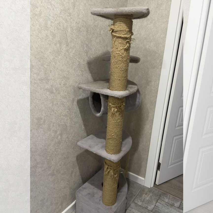 Отдам дом для кошки