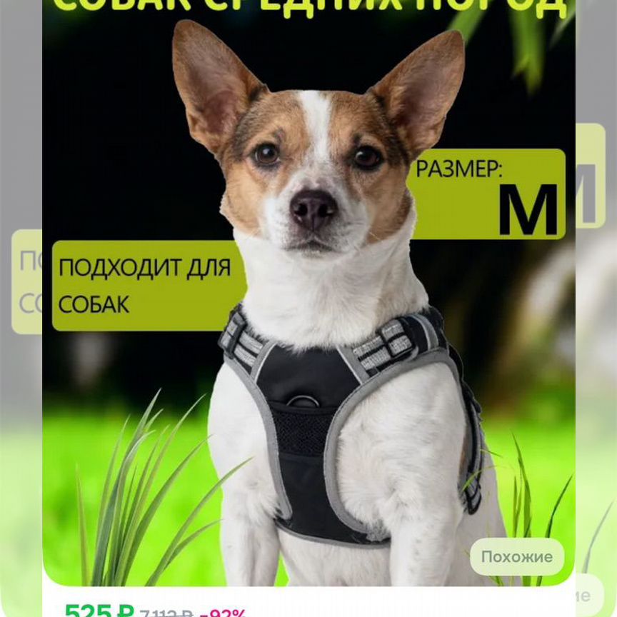 Шлейка для собаки