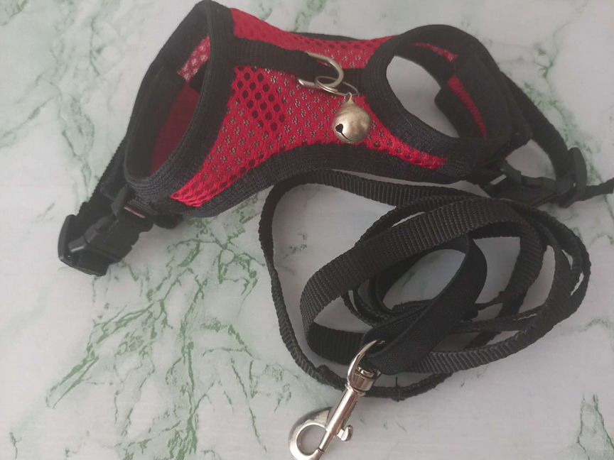 Шлейка для хорька