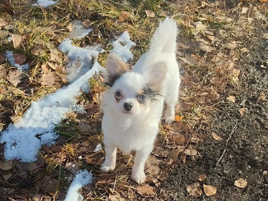 Супер мальчишечка