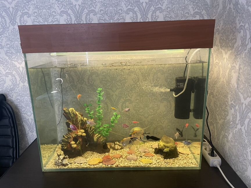 Аквариум на 100 литров