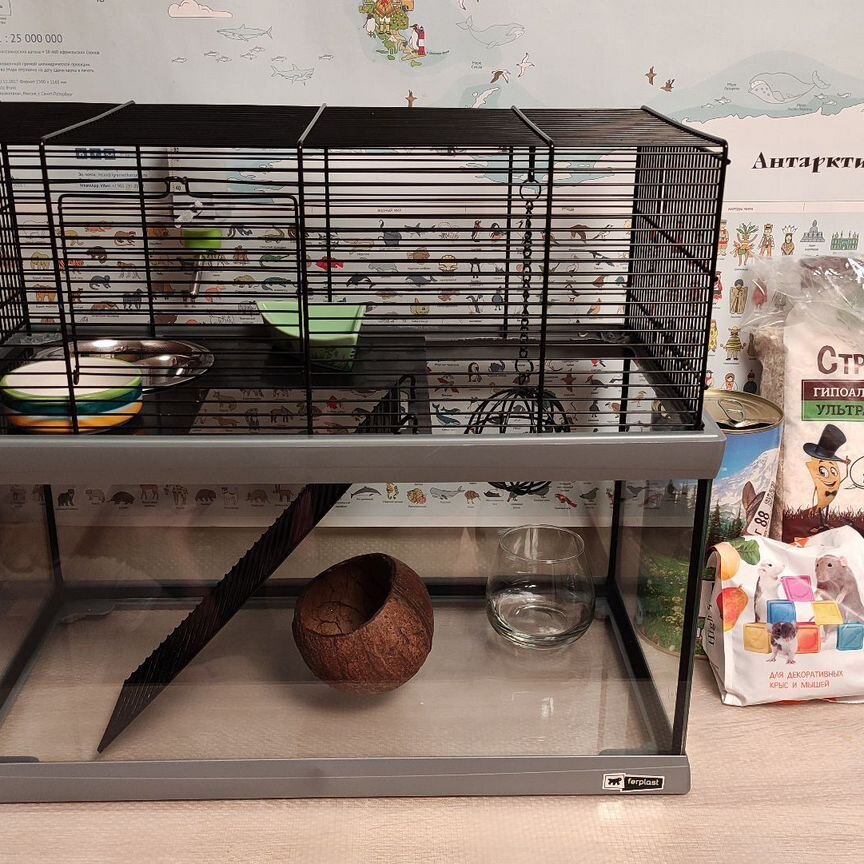 Клетка для песчанок Ferplast Gabry 50