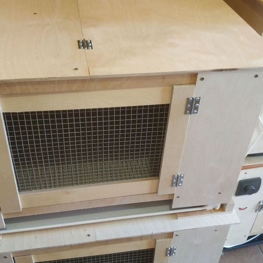 Брудер для цыплят