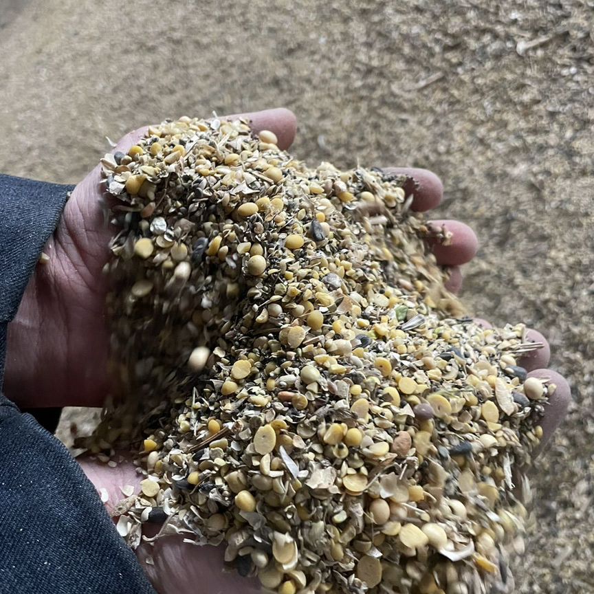 Соя вторые сорта