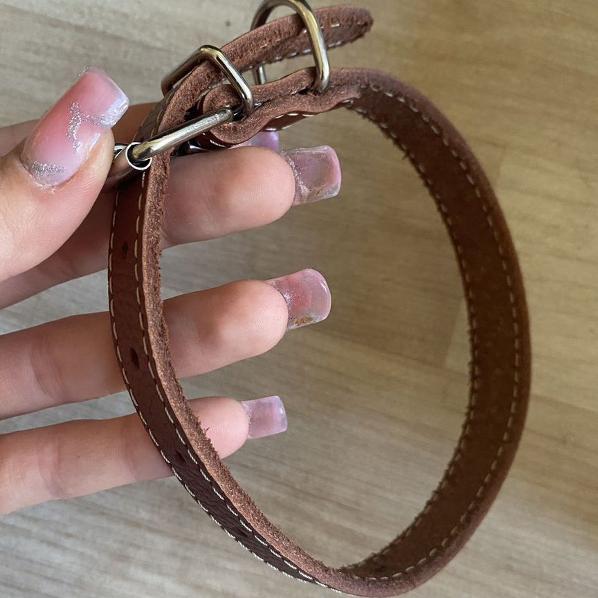 Ошейник для собак мелких пород