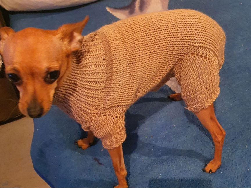 Вязанные кофточки,свитерочки,для собачек