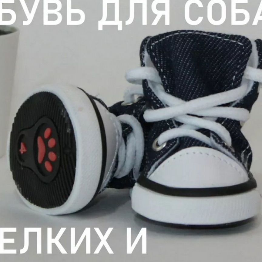 Кеды для собак