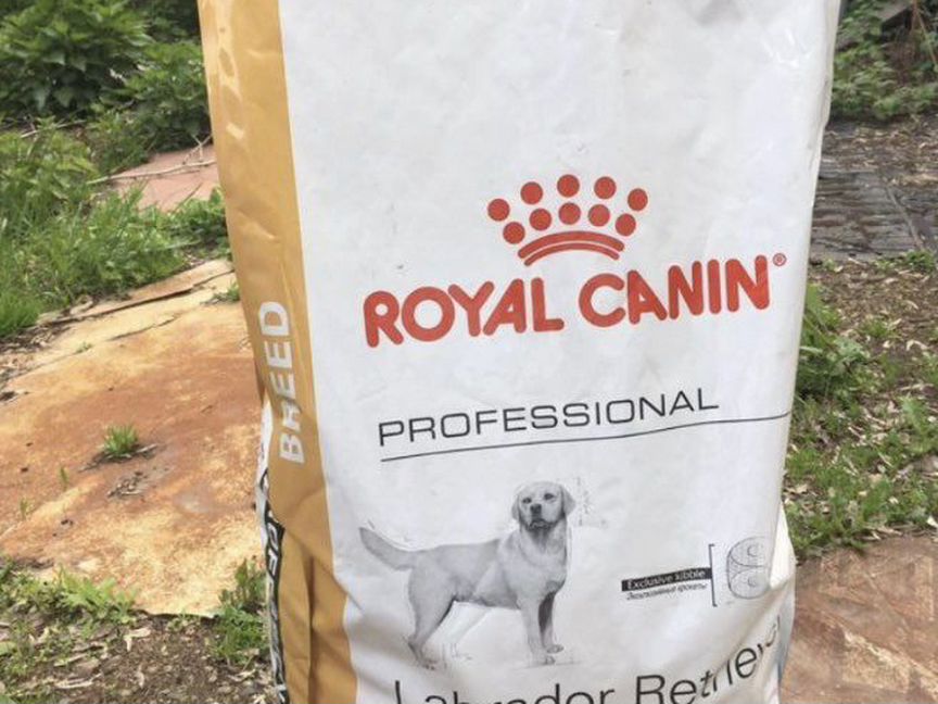 Корм для лабрадора Роял канин 13 кг Royal labrador